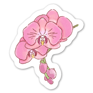 Buy Orchids - Die cut stickers - StickerApp